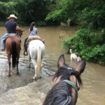 Horseback Riding Experience in Sierra Madre Mountains - The Finish Line: Tequila Tasting with Scenic Views