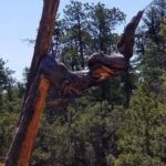 Horseback Riding Experience through Red Canyon with a Guide - What to Expect During Your Ride