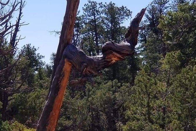 Horseback Riding Experience through Red Canyon with a Guide - What to Expect During Your Ride