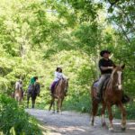 Horseback-Riding in a Country Side in Sapporo - Private Transfer is Included - Who Will Love This Experience?