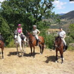 Horseback riding & Wine Tasting and snack Lunch at noble Estate - The Highlighted Benefits of This Tour