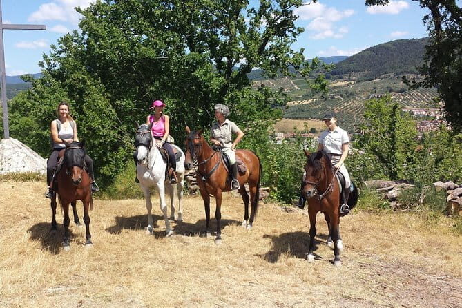 Horseback riding & Wine Tasting and snack Lunch at noble Estate - The Highlighted Benefits of This Tour