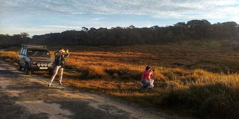 Horton plains: Discover real essence of central highland - The Drive and Sunrise: A Magical Beginning