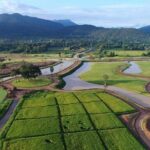 Hot-Air Ballooning and Chiang Mais Doi Suthep - Analyzing the Price and Overall Value