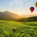 Hot Air Ballooning Day Tour - The Post-Flight Celebration and Certificate
