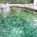 Hot Spring and Waterfall Day Tour - Authentic Experiences and Tips for Travelers