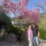 Hot Spring Beppu Onsen with Blue Hell cozy Tour - In-Depth Review of the Beppu Onsen Cozy Tour