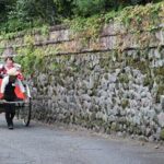 Hot Spring Capital of Yufuin Rickshaw Tour - Practical Details You Should Know