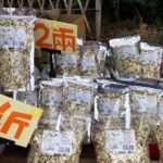 Hsinchu Sugar Culture and Dried Persimmon Experience from Taipei - Additional Details to Consider