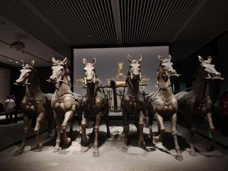 Hubei Provincial Museum 2 Hour Guided Tour - Personalized and Well-Planned Route