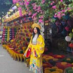 Hue City Tour by Private Car with English-Speaking Driver - The Itinerary in Detail