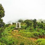 Hue: Full-day Bach Ma National Park Trek And Beach Retreat - Lunch By the Sea: Lang Co Beach