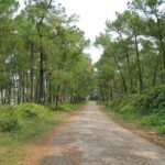 Hue Mortobike Half Day Tour - How the Experience Feels