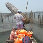 Hue Motorcycle Tour with Fishing: Best Unique Day Trips in Hue - What Past Travelers Say