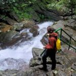 Hue to Da Nang/Hoi An via Bach Ma Trekking - A Deep Dive into the Experience