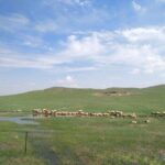 Huhhot 4D3N Inner Mongolia Grassland and desert nature tours - Transportation & Practicalities