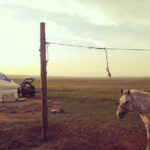 Huhhot Inner Mongolia 3 Days Xilamuren kubuqi Desert Nature Tour - Final Thoughts