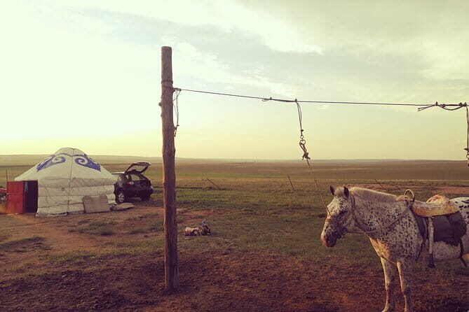 Huhhot Inner Mongolia 3 Days Xilamuren kubuqi Desert Nature Tour - Final Thoughts