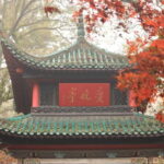Hunan 1-Day Tour: Hunan Museum, Orange Isle, Yuelu Academy - Who Will Enjoy This Tour Most?