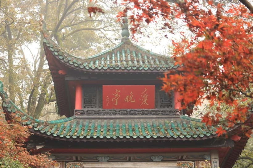 Hunan 1-Day Tour: Hunan Museum, Orange Isle, Yuelu Academy - Who Will Enjoy This Tour Most?