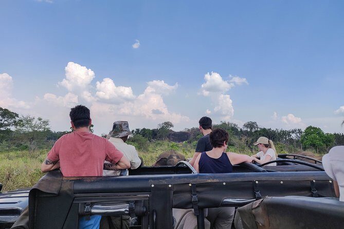 Hurulu Eco Park Private Safari from Habarana - The Itinerary: What You Can Expect