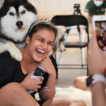 Huskitory Connecting People and Dogs - Detailed Breakdown of the Tour