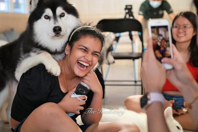 Huskitory Connecting People and Dogs - Detailed Breakdown of the Tour