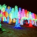 I-City Night Tour - FAQ