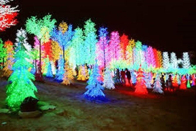 I-City Night Tour - FAQ