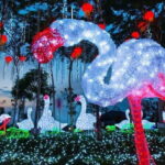 i-City Shah Alam Theme Park Adventure with Return Transfer - What’s Included and What’s Not