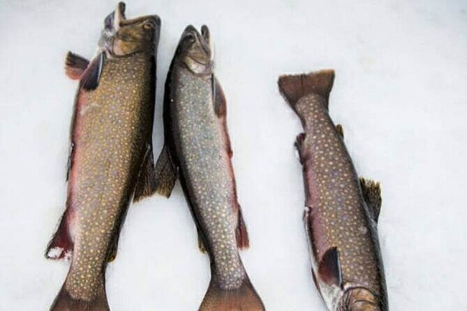 Ice fishing - Discovering Quebec’s Ice Fishing Tour