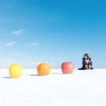 Ice Horizon Walk: Frozen Sea Adventure of Notsuke Peninsula - What To Expect During The Tour