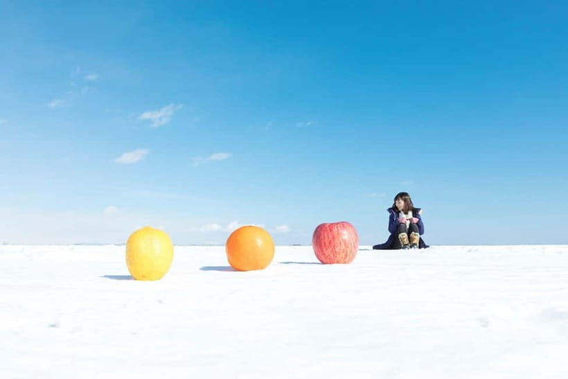 Ice Horizon Walk: Frozen Sea Adventure of Notsuke Peninsula - What To Expect During The Tour