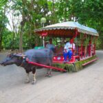 Immerse in Culture: Villa Escudero Coconut Plantation Experience - The Practicalities