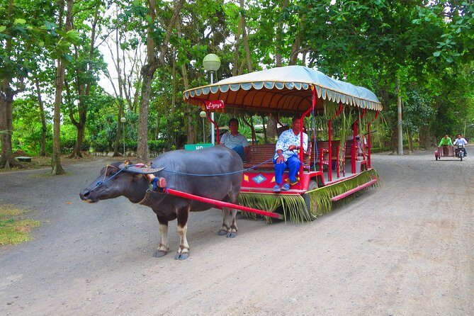 Immerse in Culture: Villa Escudero Coconut Plantation Experience - The Practicalities