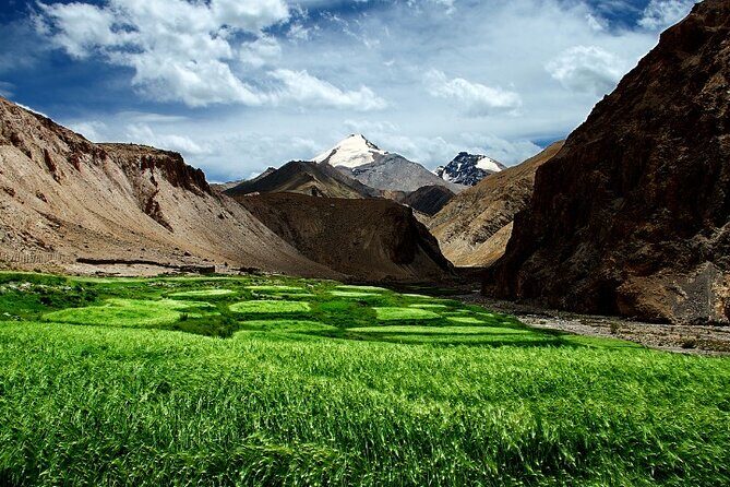 In the wonderful land of Kashmir - Heritage and Wildlife Around Srinagar