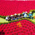 Incense Village Tam Coc Hoa Lu Small Group of 9 From Hanoi - Practical Details and Tips