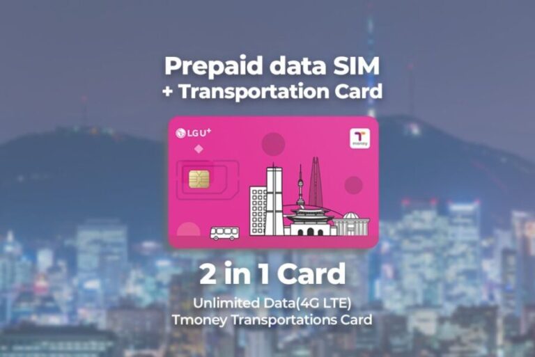 Incheon Airport: Traveler SIM & T-money Transportation Card