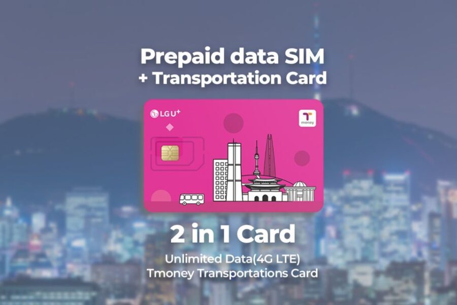 Incheon Airport: Traveler SIM & T-money Transportation Card - Detailed Breakdown of the Experience