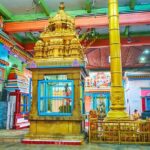 Indian/Hindu Cultural Immersion Tour - Who Will Find This Tour Most Rewarding?