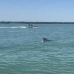 Indian Rocks Beach: Guided Jet Ski Adventure - Navigating the Practical Details