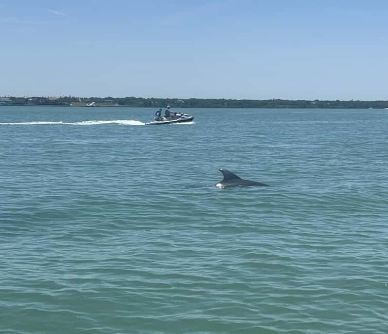 Indian Rocks Beach: Guided Jet Ski Adventure - Navigating the Practical Details