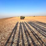 Individual Gujarat tour 2024-2025 (nature and palaces) - The Value and Experience