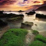 Indonesia Escape (Yogyakarta) - What Travelers Say