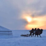 Inner Mongilia: 6-Day Hulunbuir Private Winter Tour - What Makes This Tour Stand Out