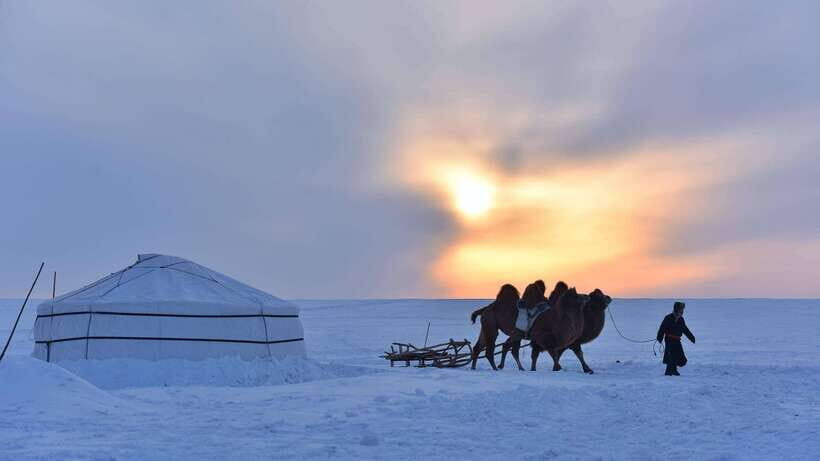 Inner Mongilia: 6-Day Hulunbuir Private Winter Tour - What Makes This Tour Stand Out