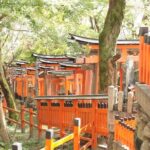 Inside of Fushimi Inari - exploring and lunch with locals - Soba Noodles and Local Flavors