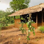 Interactive Cinnamon and Spices Experience at Warala Watta Farm - The Value and Practicalities