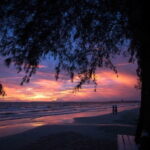 Intercity Transfer (Siem Reap to Sihanoukville) - The Itinerary: What to Expect