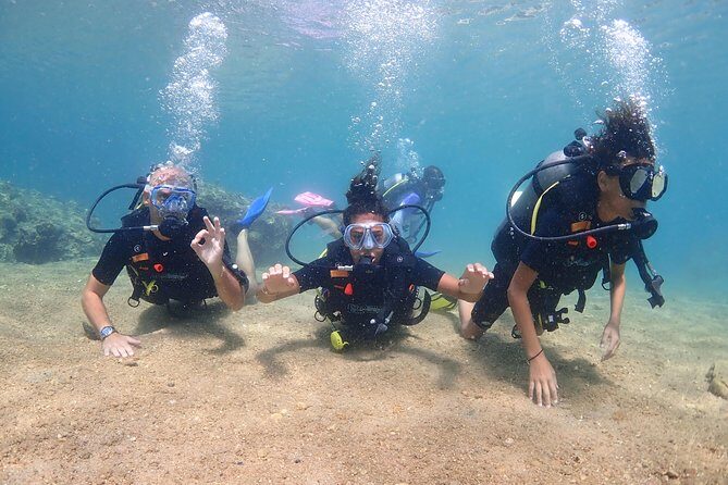 Introductory dive for non-certified divers - The Authentic Underwater Experience